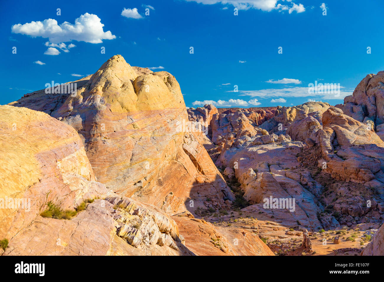 White Domes against deep blue sky in Valley of Fire State Park, Nevada ...