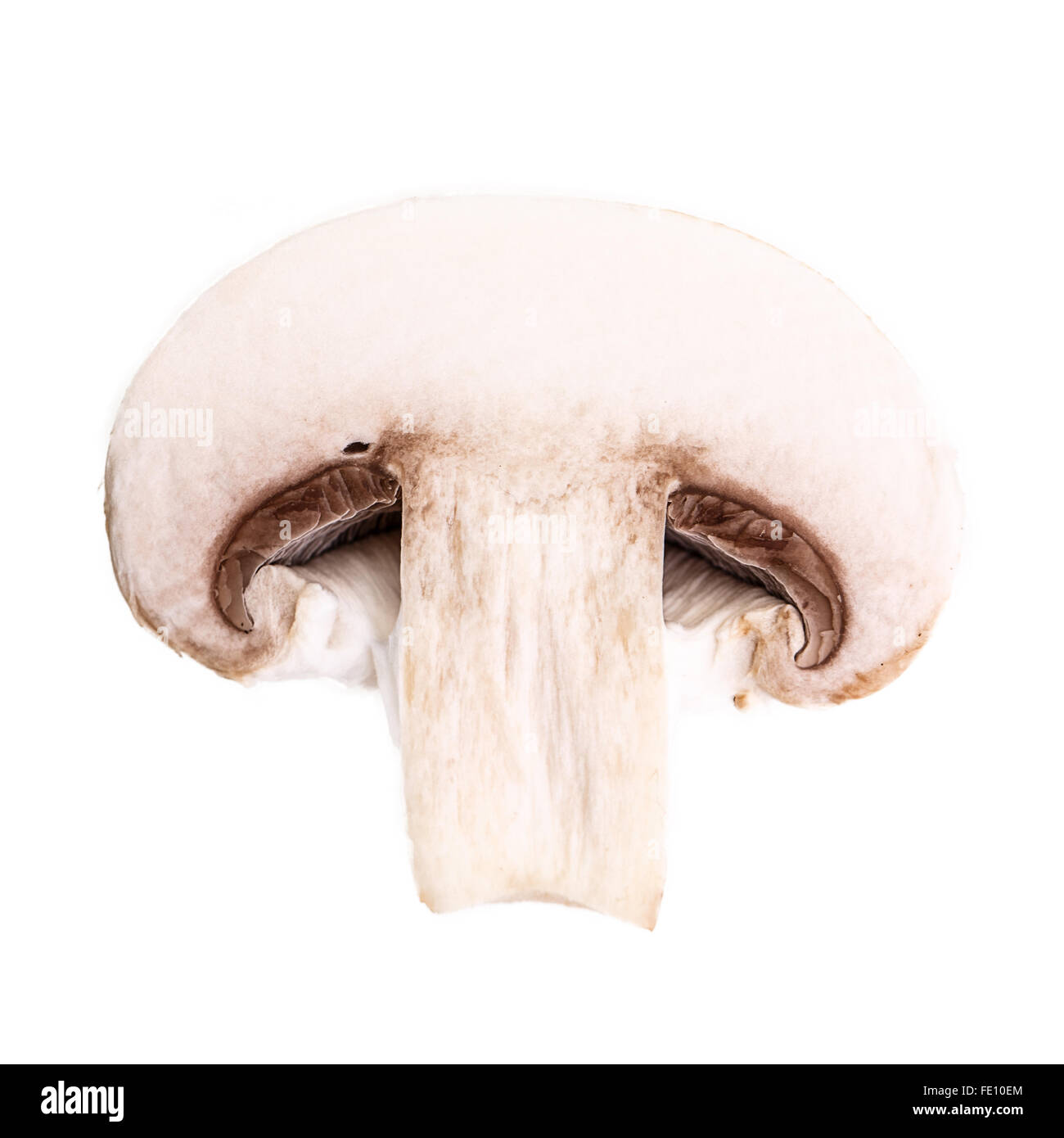 champignons mushrooms Isolated on white background Stock Photo - Alamy