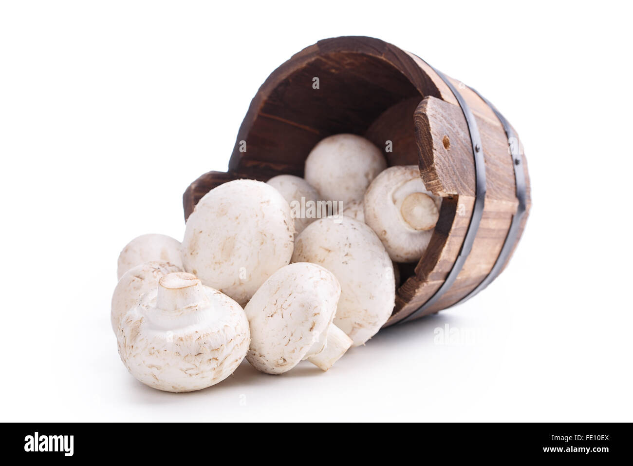 wooden vat mushrooms Isolated on white background Stock Photo - Alamy