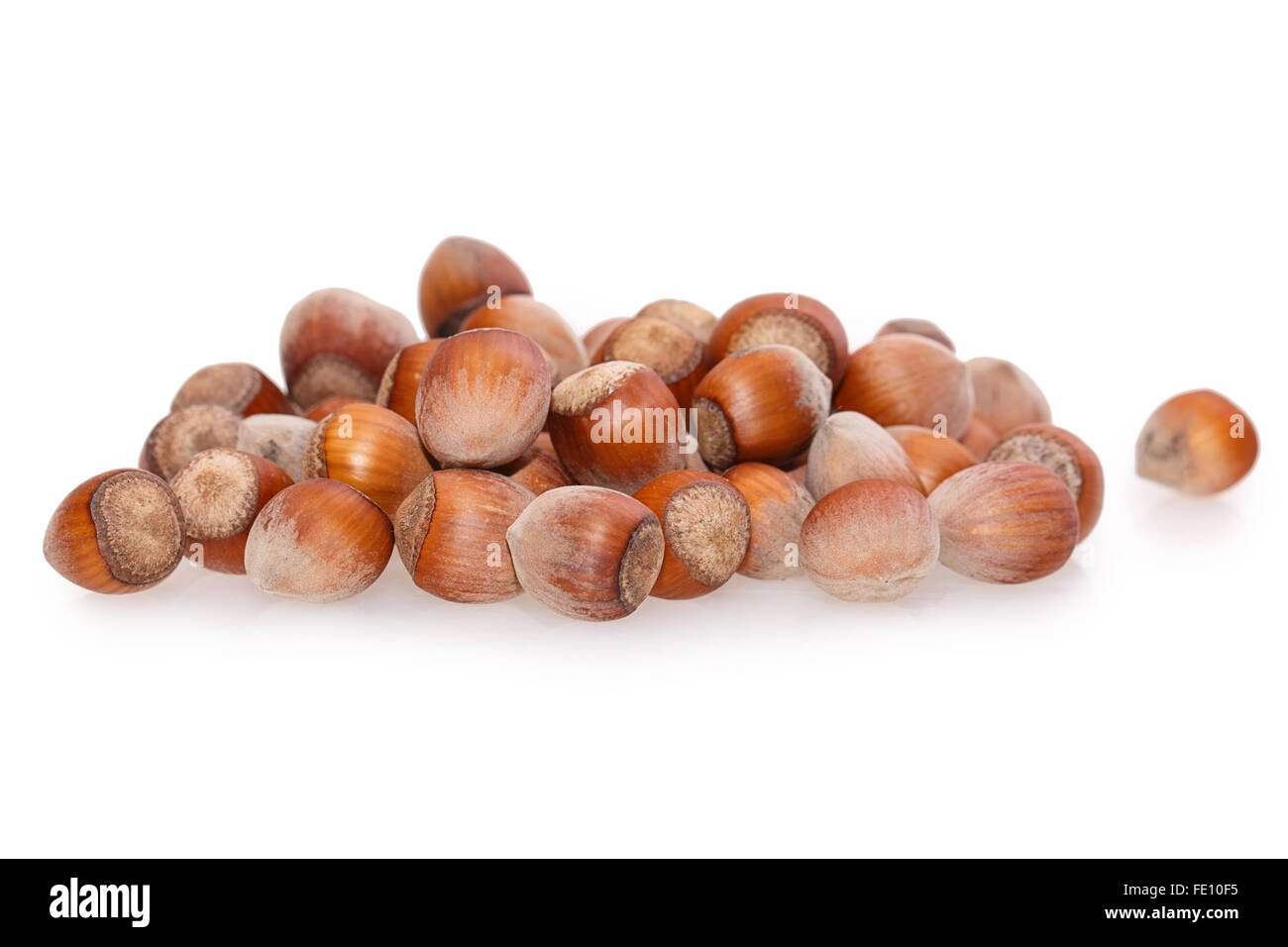 hazelnut Isolated on white background Stock Photo - Alamy