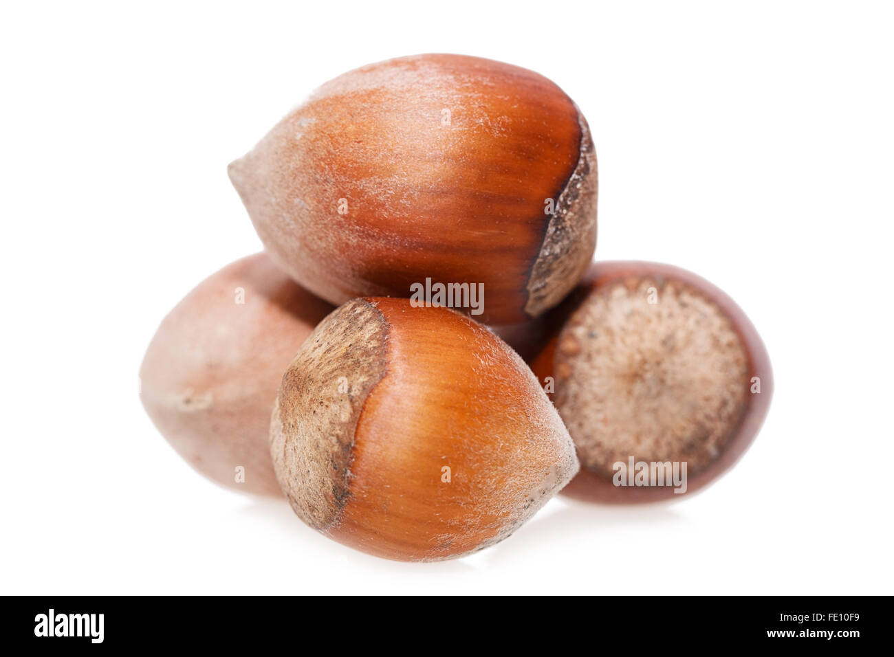 hazelnut Isolated on white background Stock Photo - Alamy