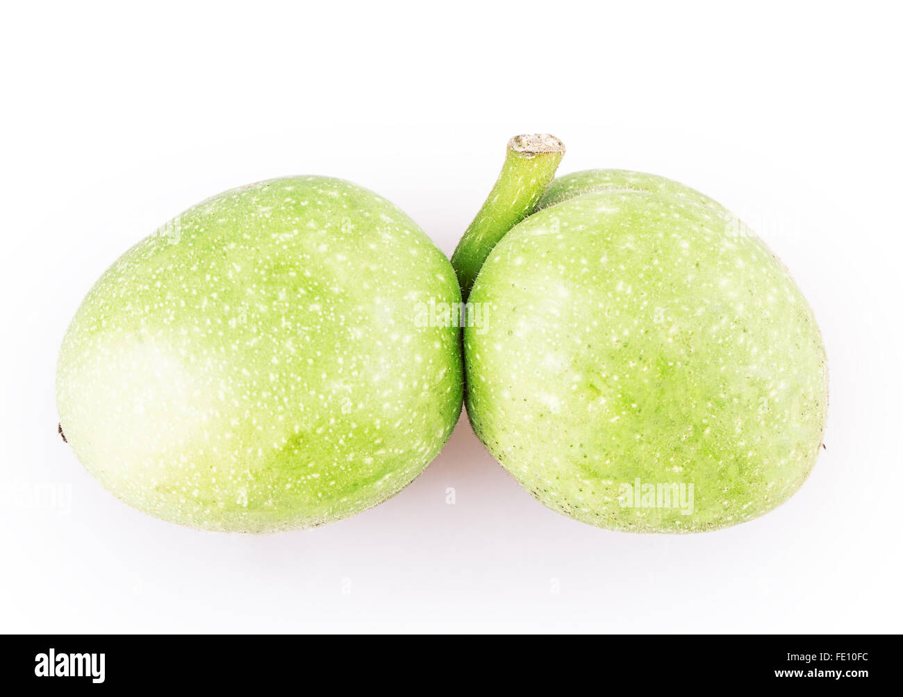 green walnut Isolated on white background Stock Photo - Alamy