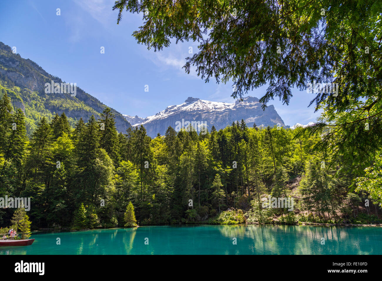 Blausee or Blue Lake nature park in summer, Kandersteg, Switzerland ...