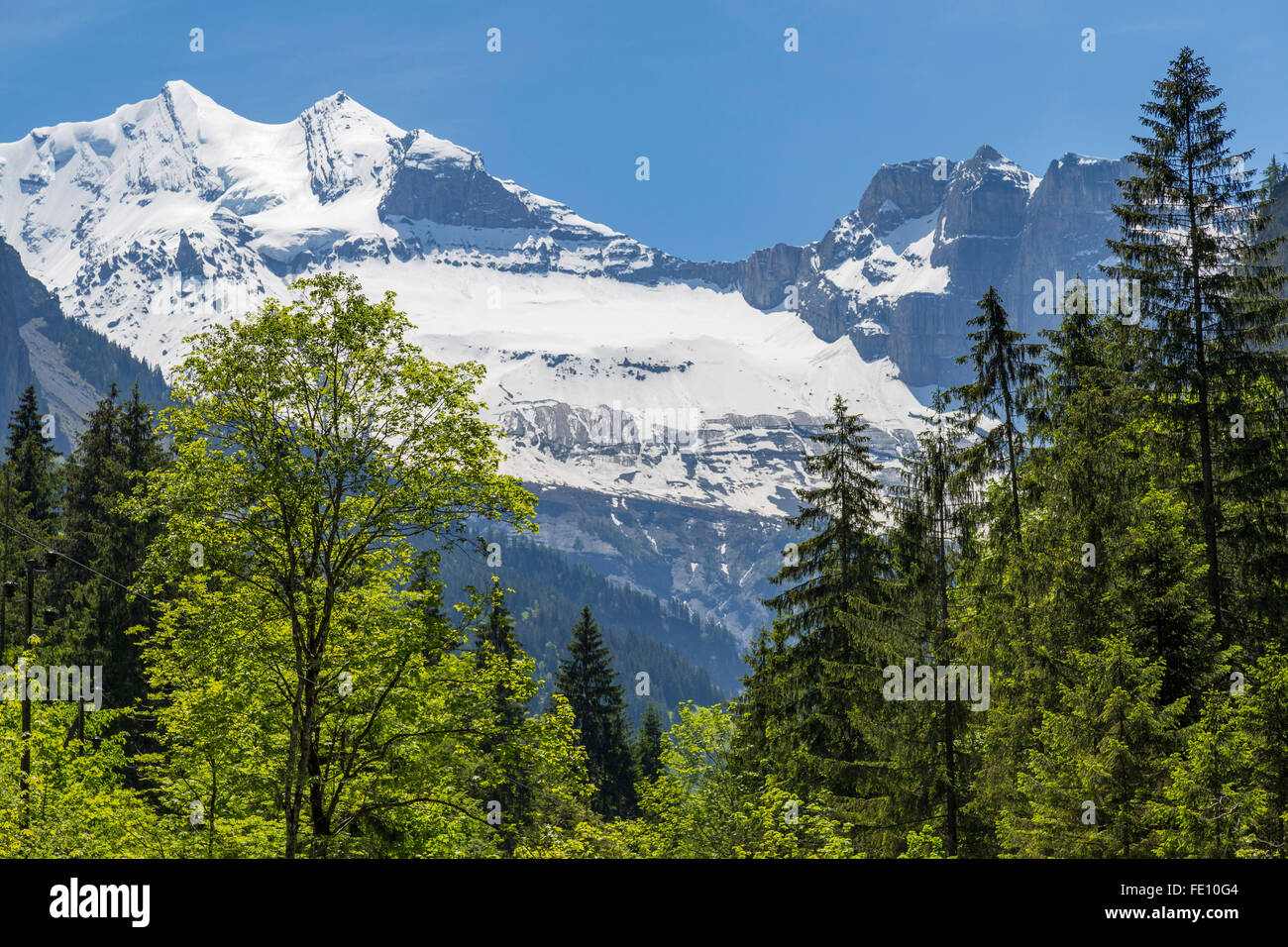 Hiking in swiss alps beautiful hi-res stock photography and images - Alamy