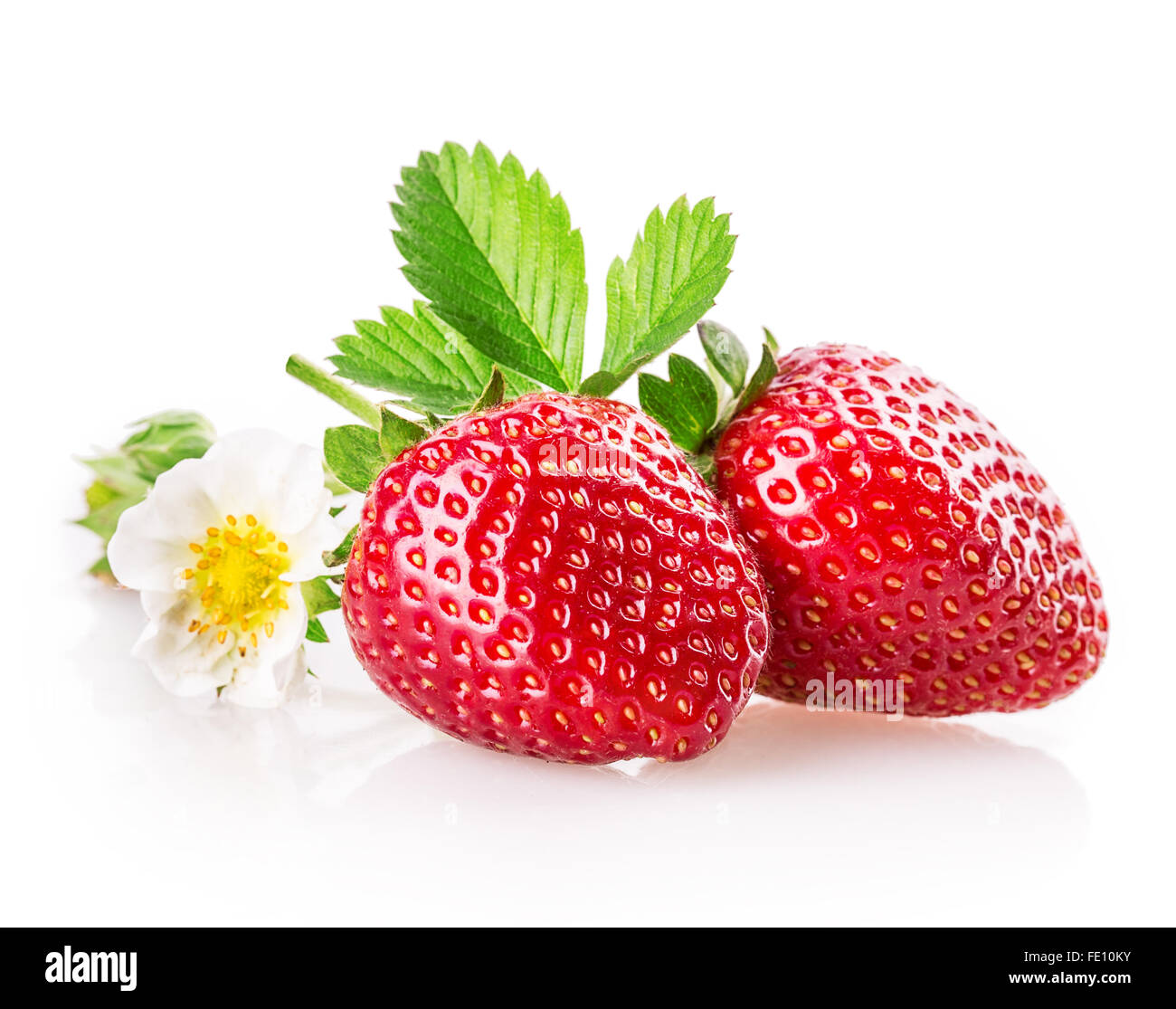 strawberry Isolated on white background Stock Photo - Alamy