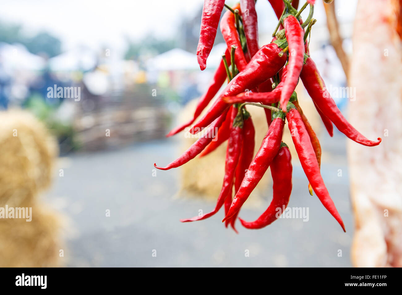 hot pepper red bunch blurred background Stock Photo - Alamy