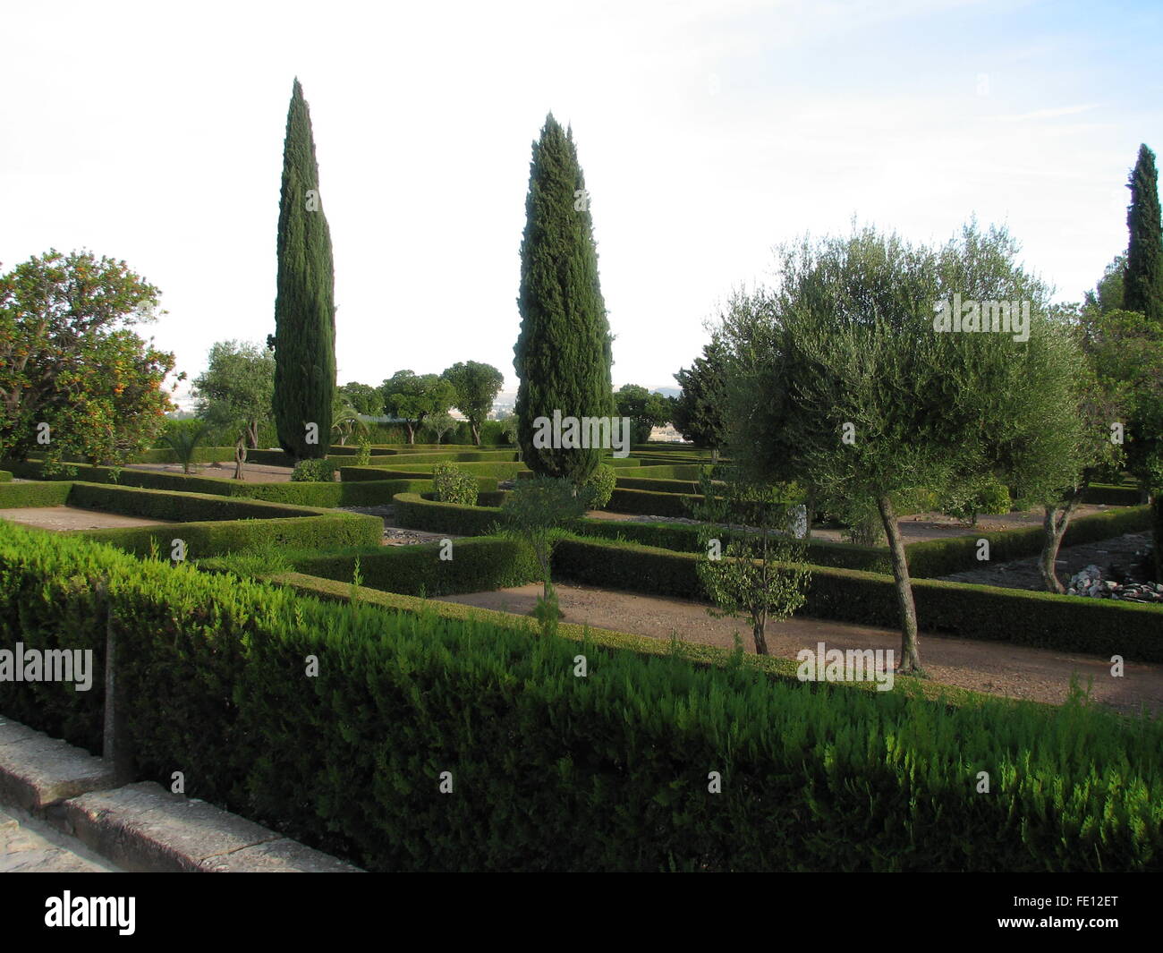 Trees at the Moorish Muslim/Islamic caliphate city Medina Azahara ...