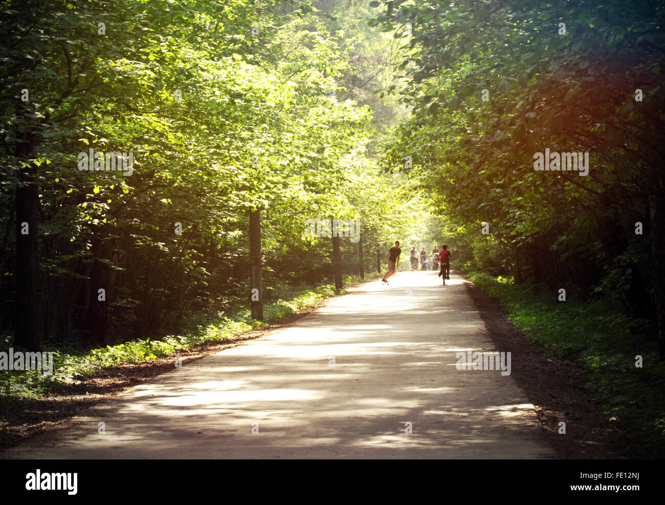 Sunny summer day in park hi-res stock photography and images - Alamy