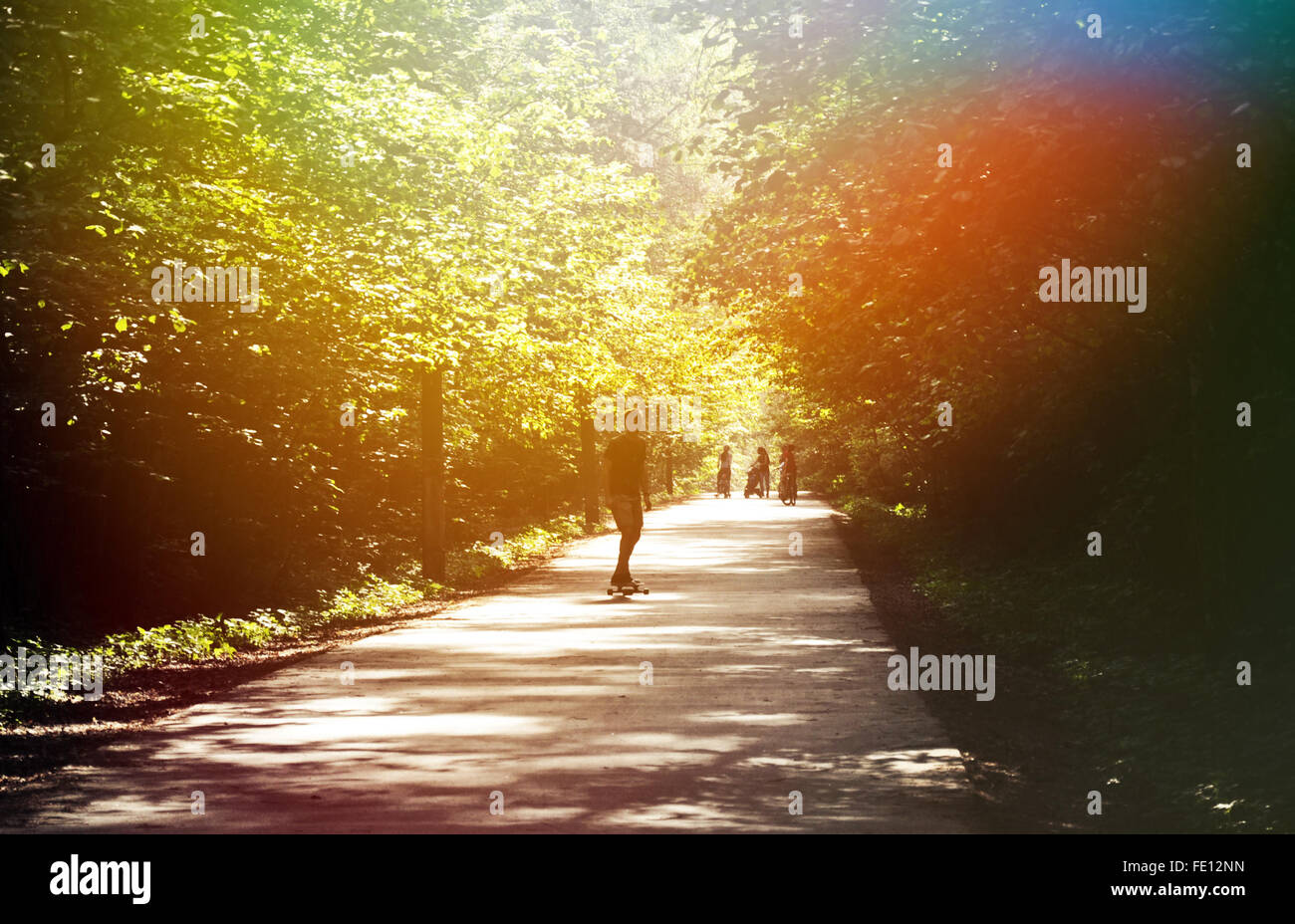 Sunny alley in the park Stock Photo - Alamy