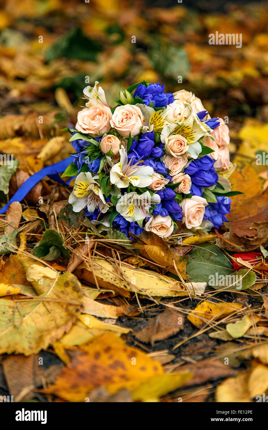 a bouquet of roses on autumn leaves Stock Photo - Alamy