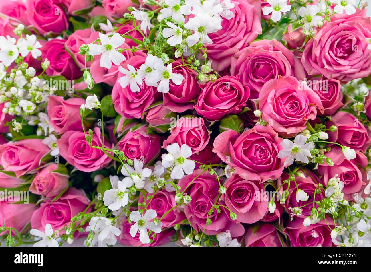 bouquet of roses background of flowers Stock Photo - Alamy