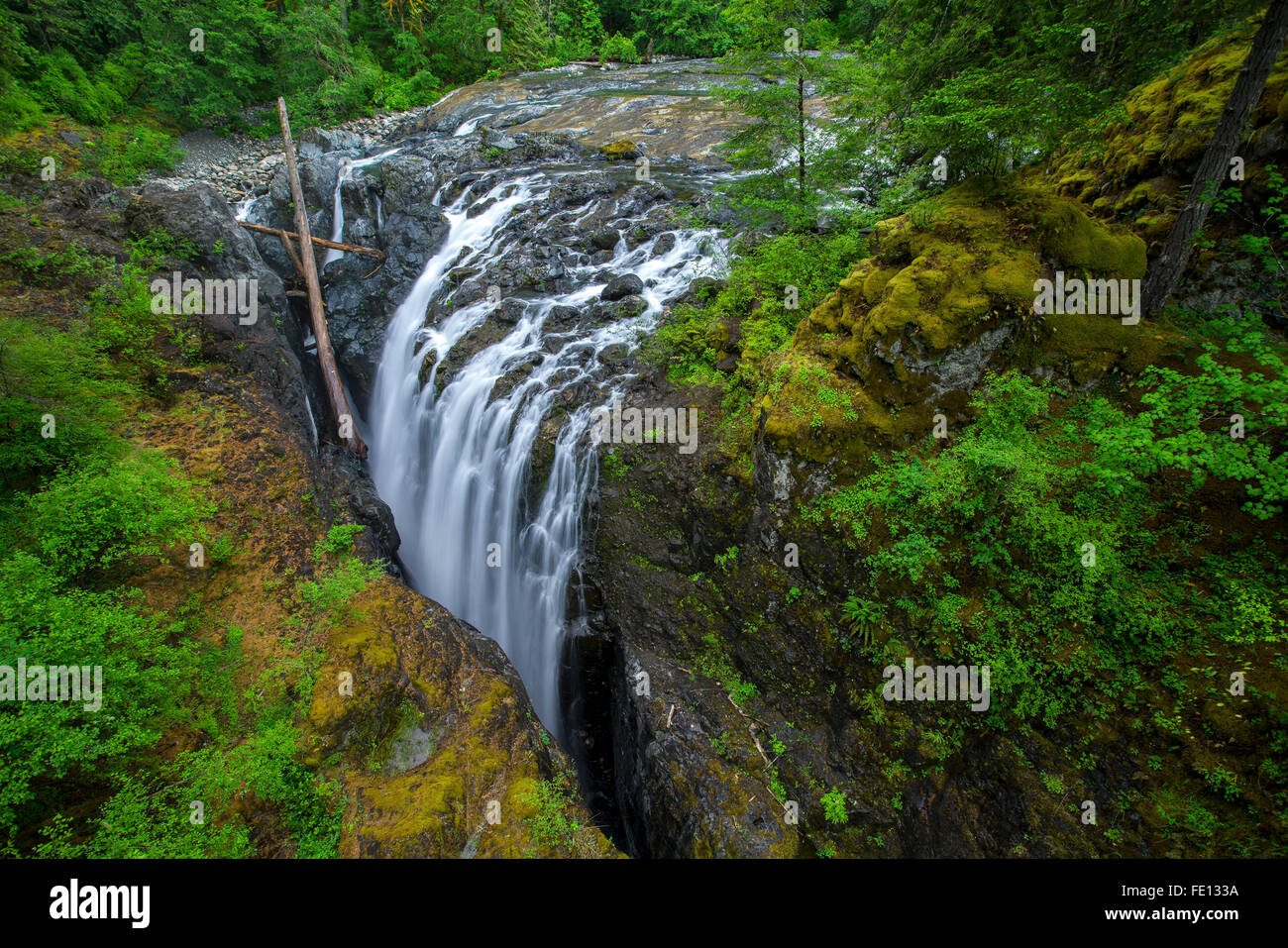 Englishman River Falls Provincial Park, Vancouver Island, BC: Upper ...