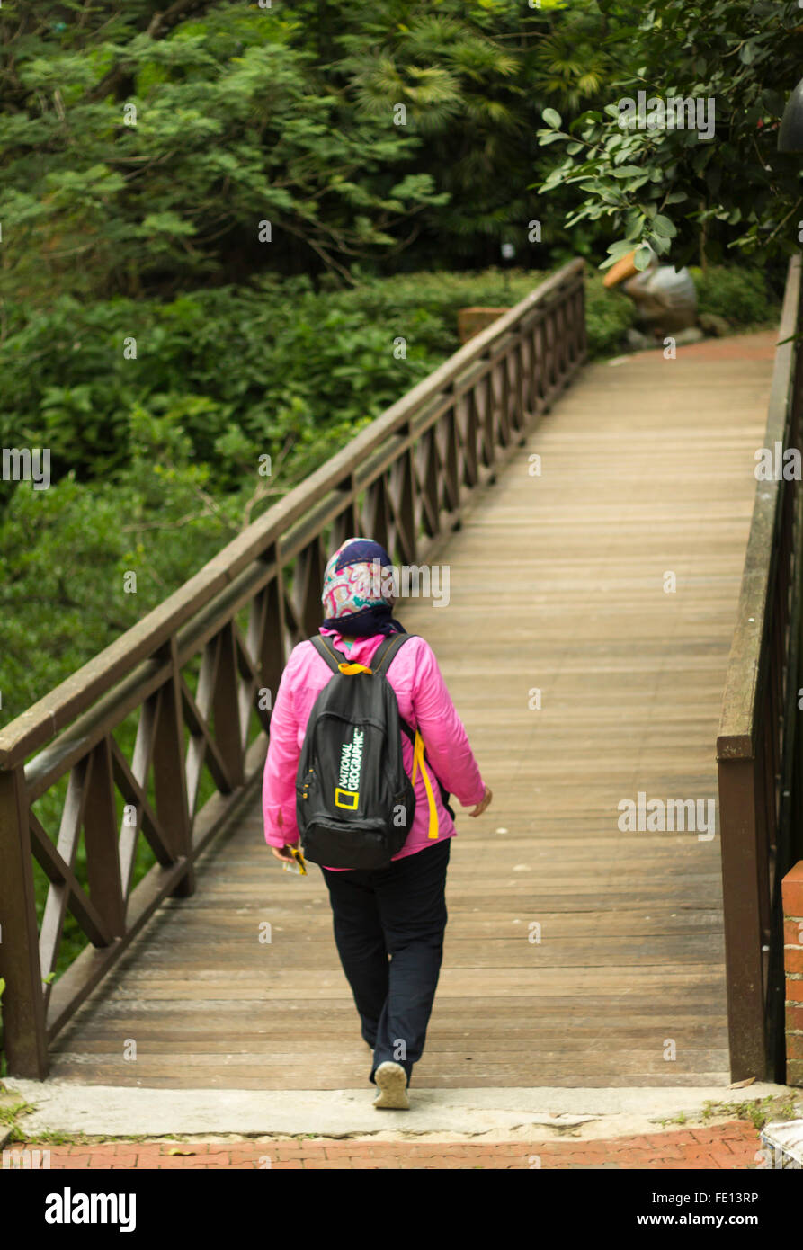 A Muslim tourist woman with Hijab and a national geography backpack ...