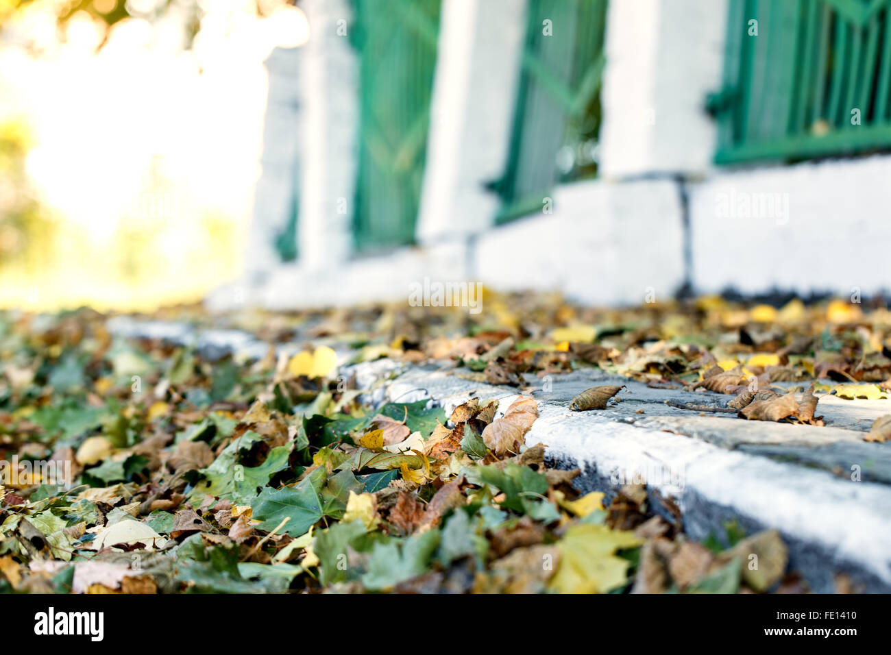 Fallen autumn leaves yellow green fence road Stock Photo - Alamy