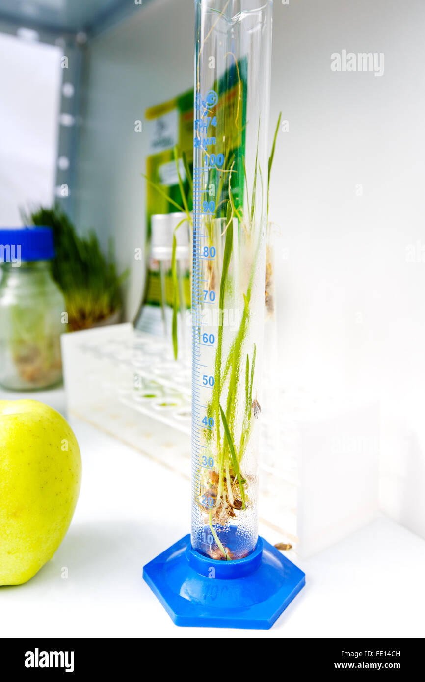 Plant lab hi-res stock photography and images - Alamy