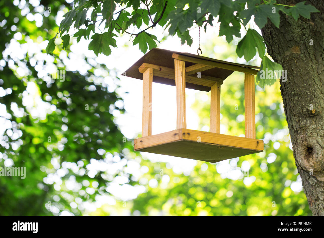 wooden bird feeder leaves trees Stock Photo - Alamy