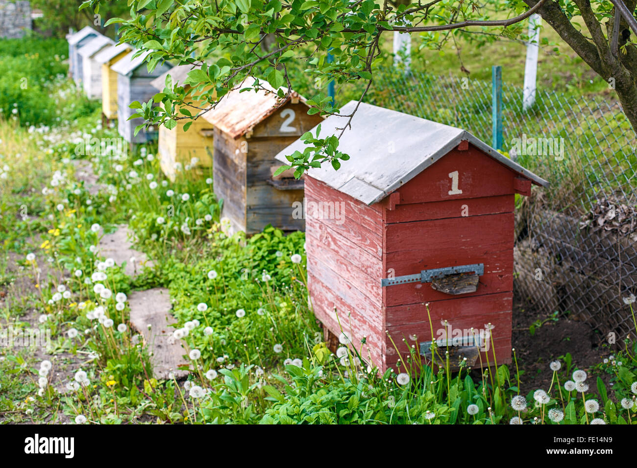 The bee hive house hi-res stock photography and images - Alamy