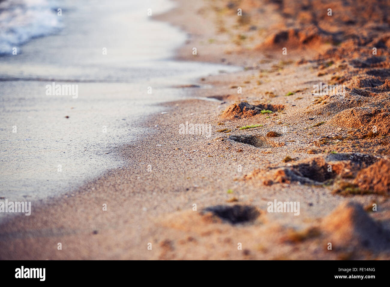 Beach sand tracks Sea nature landscape Stock Photo - Alamy