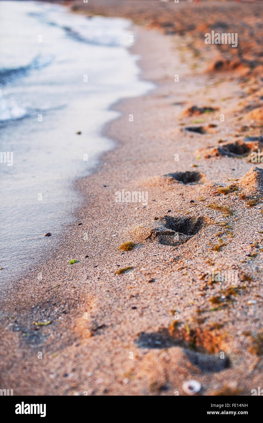 Beach sand tracks Sea nature landscape Stock Photo - Alamy