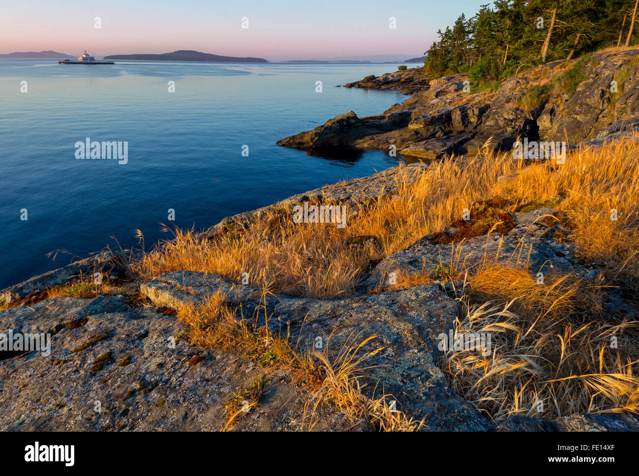Saltspring Island, British Columbia: Dawn light on rocky coast of ...