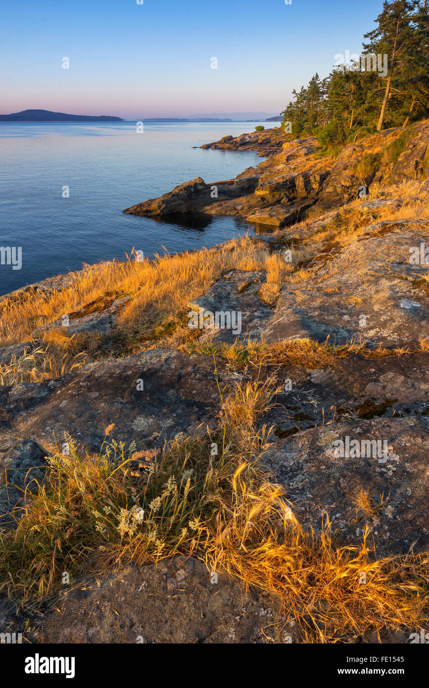 Saltspring Island, British Columbia: Dawn light on rocky coast of ...