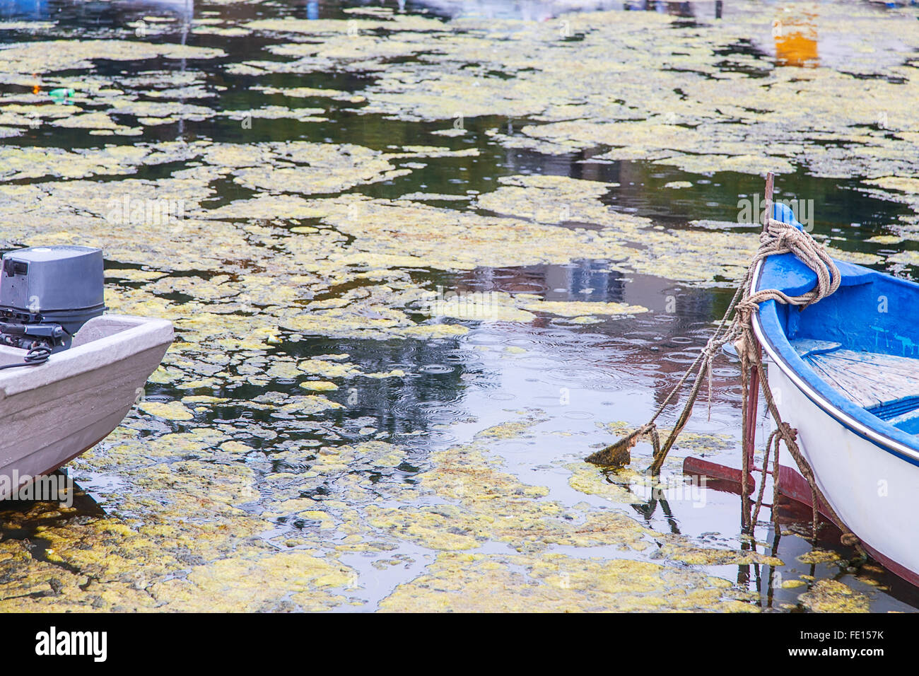 port boats ships sea algae mud Stock Photo - Alamy