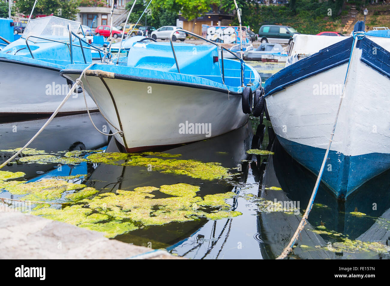 port boats ships sea algae mud Stock Photo - Alamy