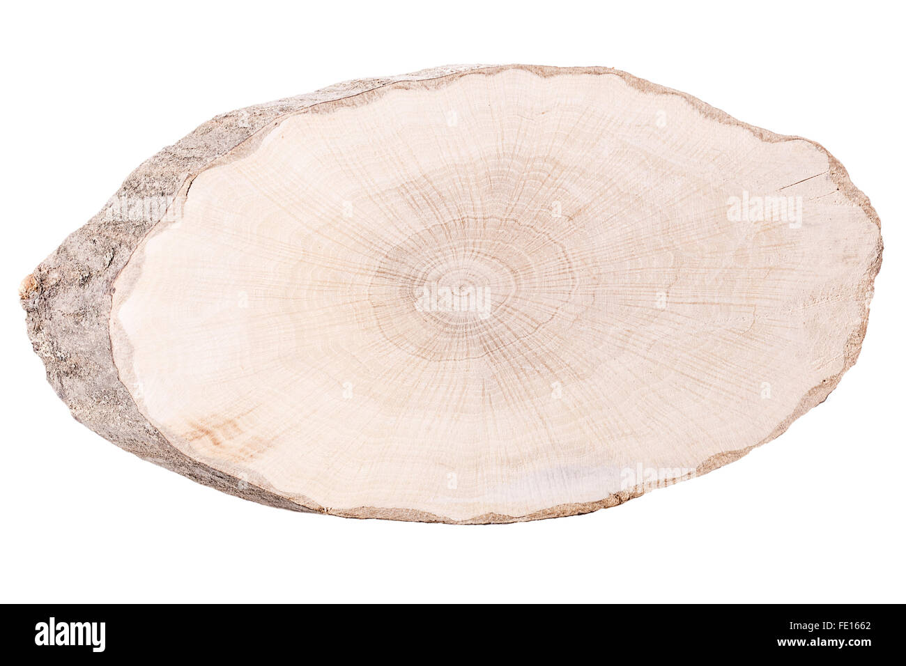 wood cut background ring texture Stock Photo - Alamy