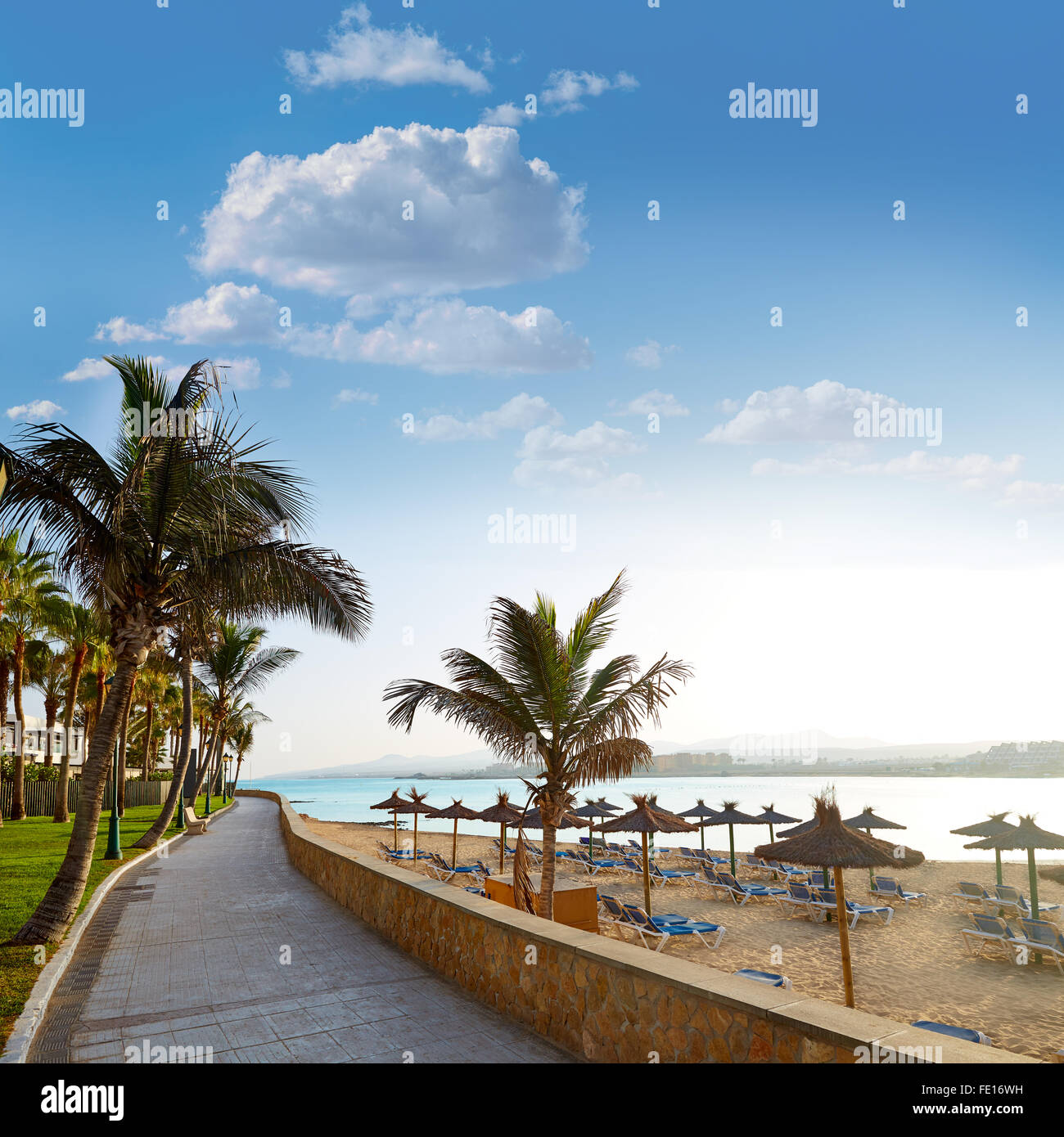 Fuerteventura Caleta del Fuste at Canary Islands of Spain Stock Photo ...