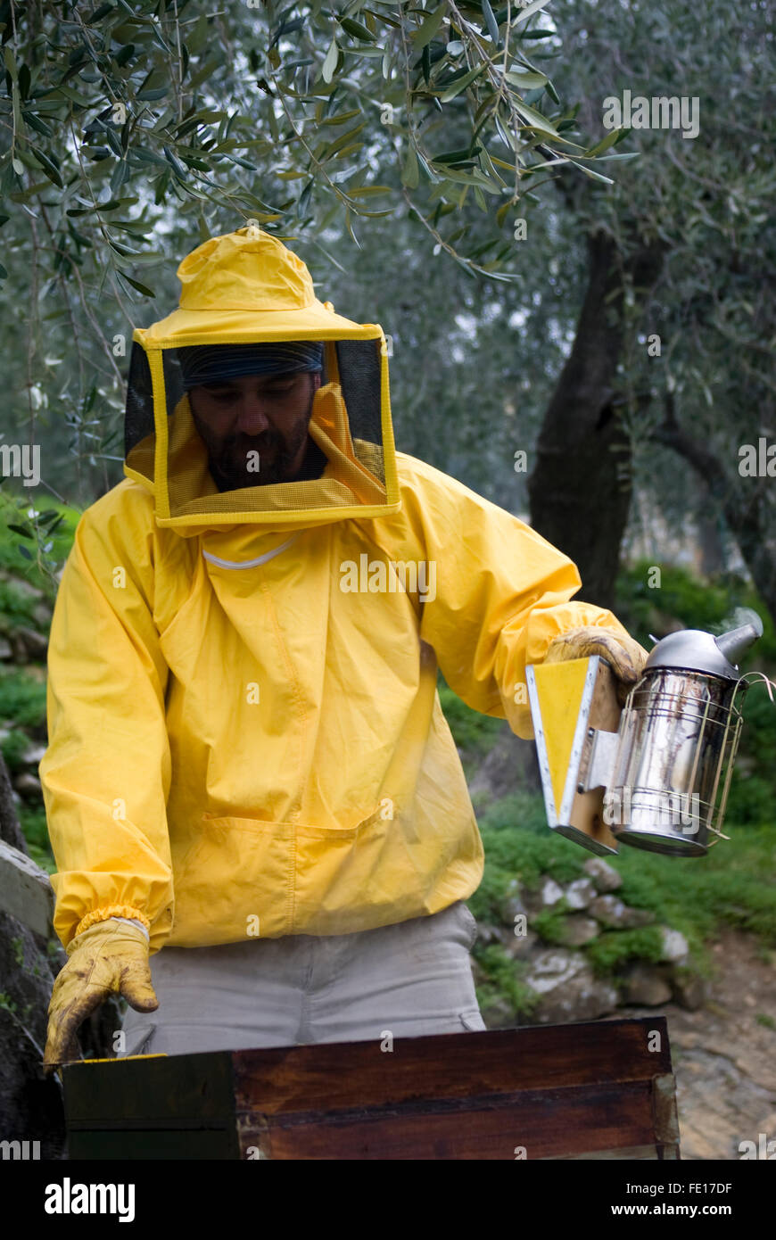 Beekeeper using smoker during hive maintenance Stock Photo - Alamy