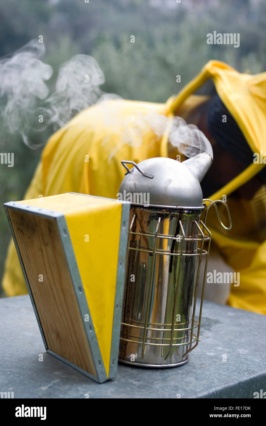 Beekeeper using smoker during hive maintenance Stock Photo - Alamy
