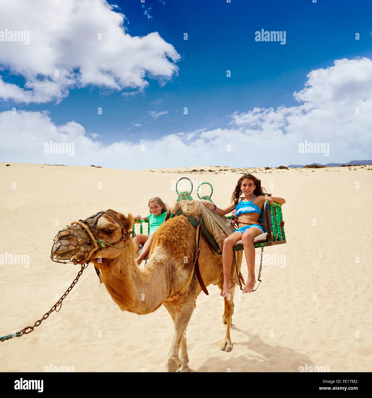 Girls riding Camel in Fuerteventura desert at Canary Islands of Spain ...