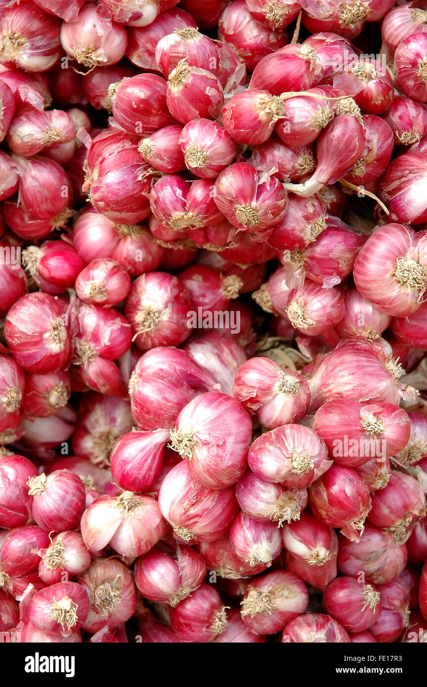 Shallot spice hi-res stock photography and images - Alamy