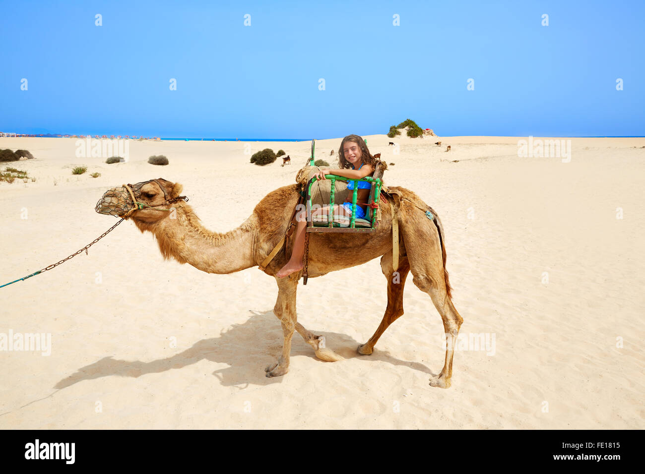 Child Girl Riding Camel In High Resolution Stock Photography and Images ...