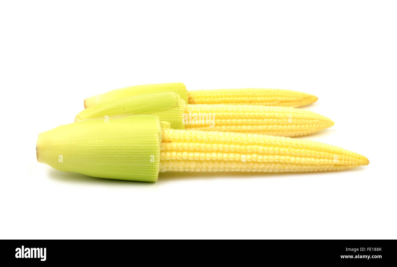 baby corn isolated on white background Stock Photo - Alamy