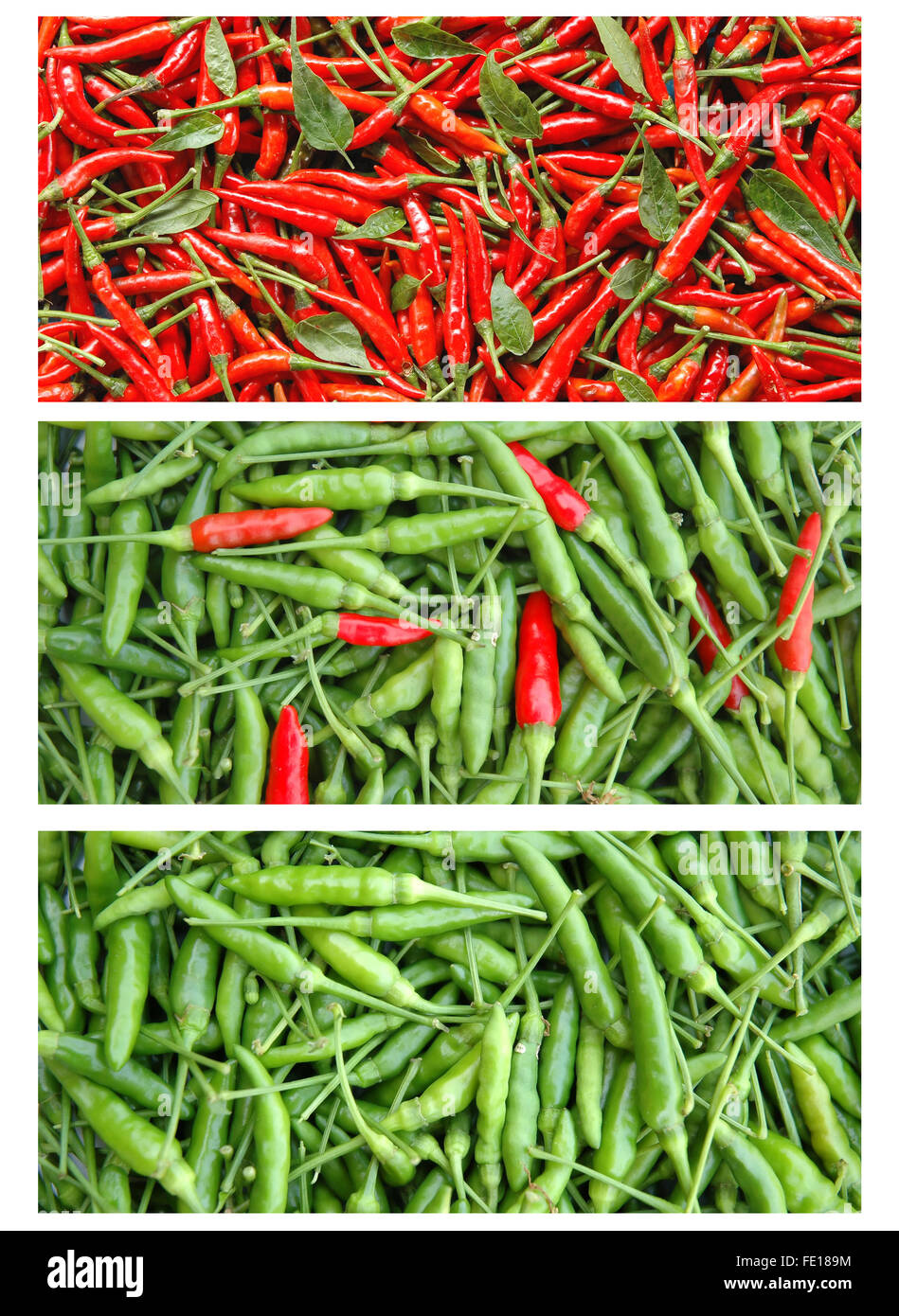Fresh ingredient chilli hi-res stock photography and images - Alamy