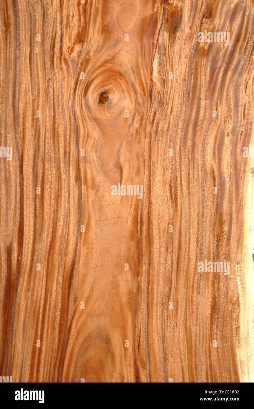 Textured cut hi-res stock photography and images - Alamy