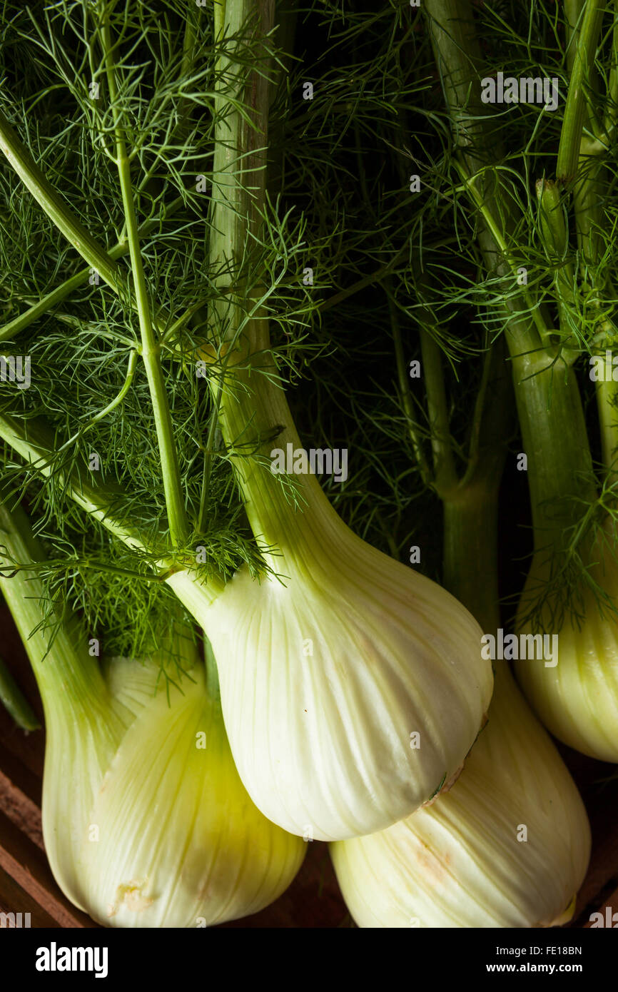 Anise organic hi-res stock photography and images - Alamy