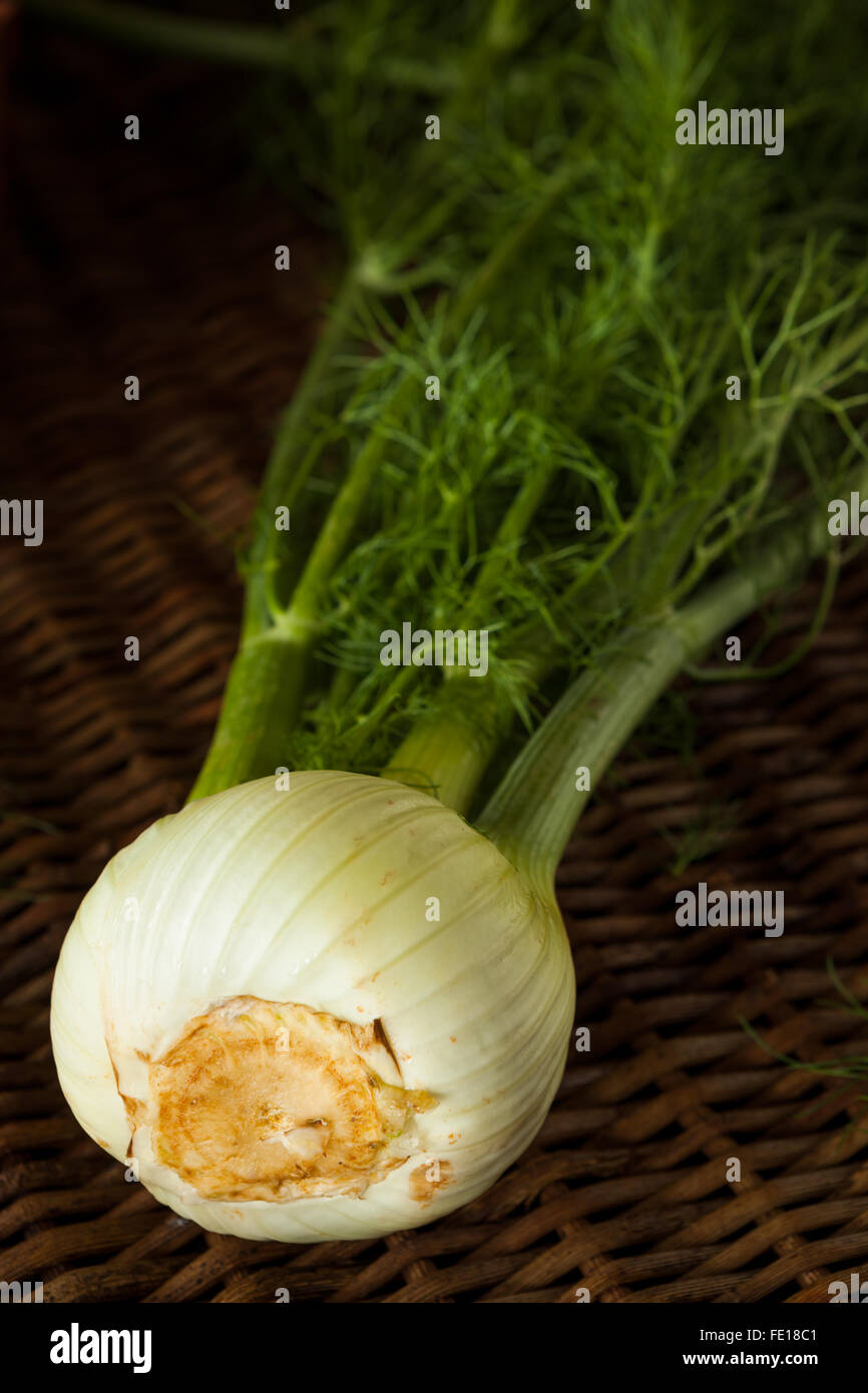 Raw Organic Fennel Bulbs Ready to Cook Stock Photo - Alamy