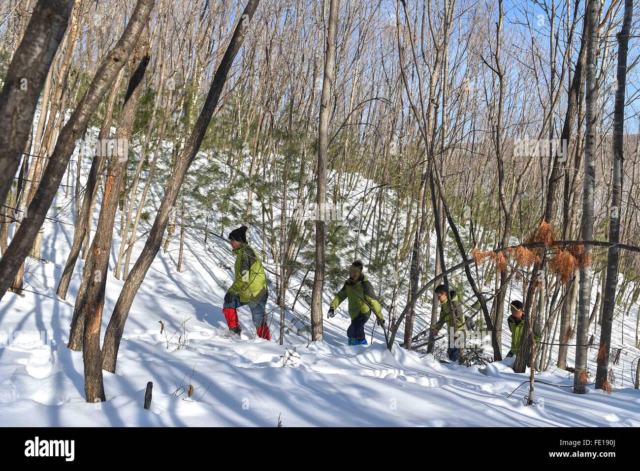 Hunchun, China's Jilin Province. 3rd Feb, 2016. Rangers patrol in the ...