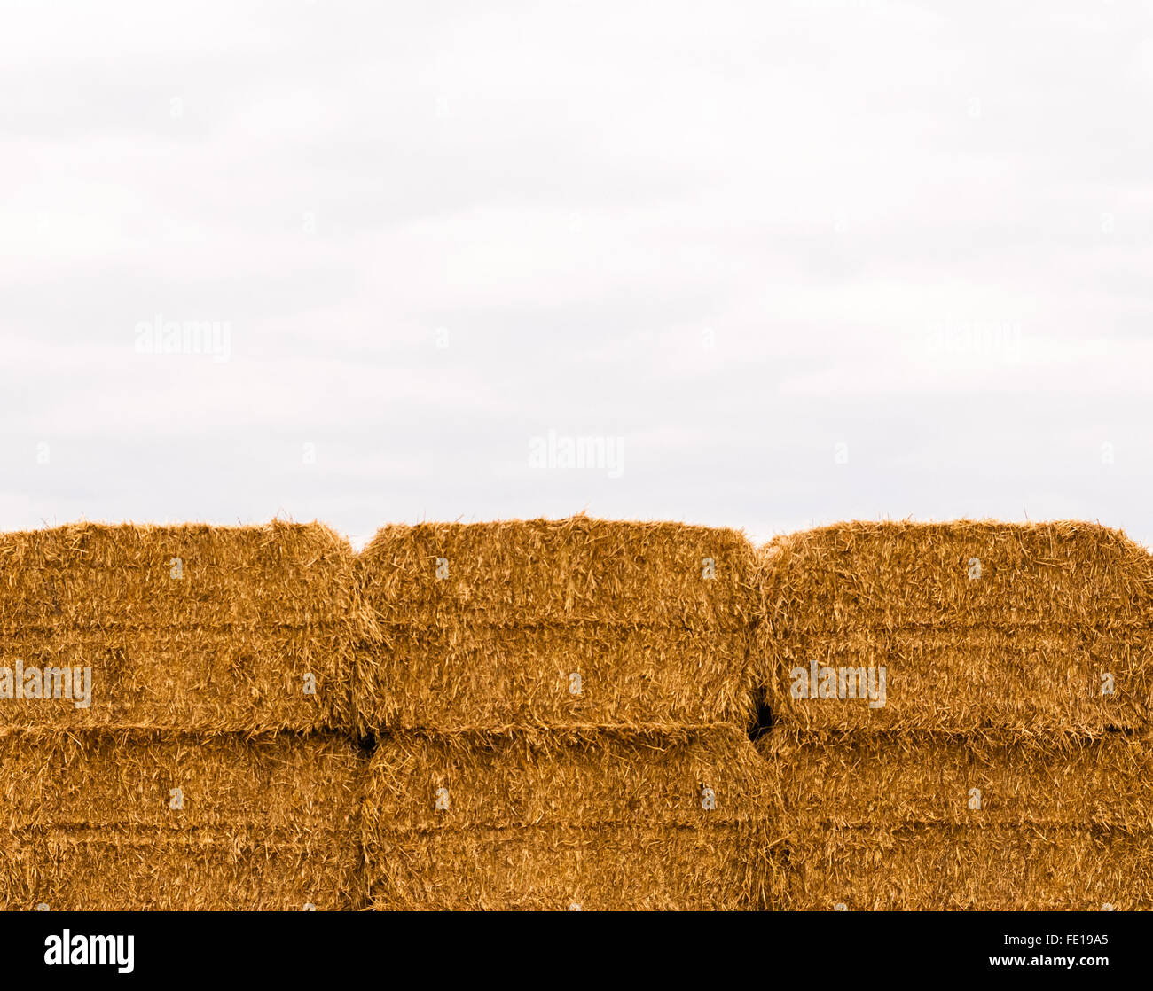 Six stacked yellow square hay bales on gray overcast sky Stock Photo ...