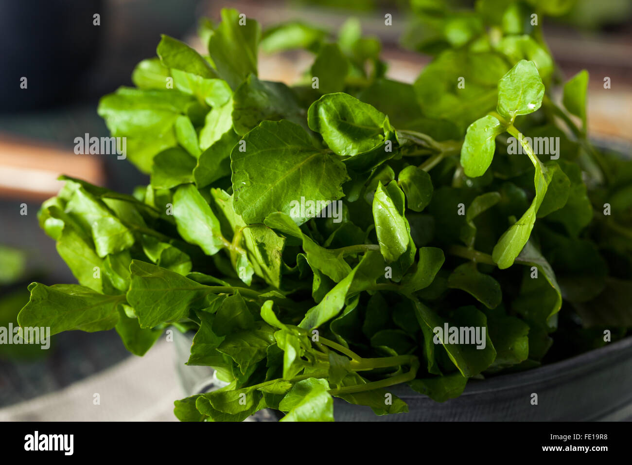 Watercress water cress bunch hi-res stock photography and images - Alamy