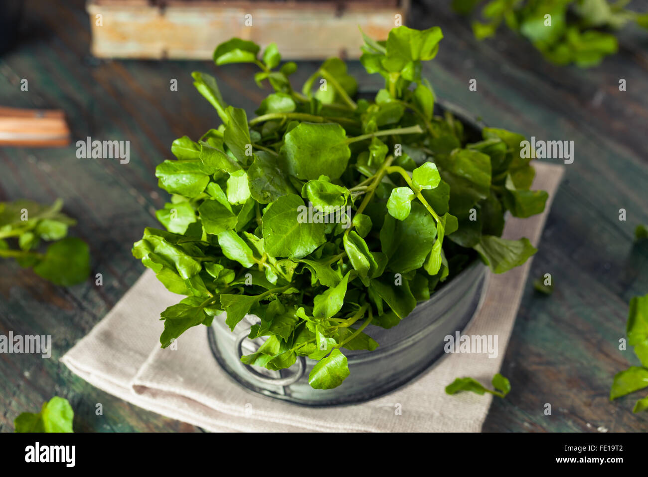 Raw Organic Green Watercress Ready to Use Stock Photo - Alamy