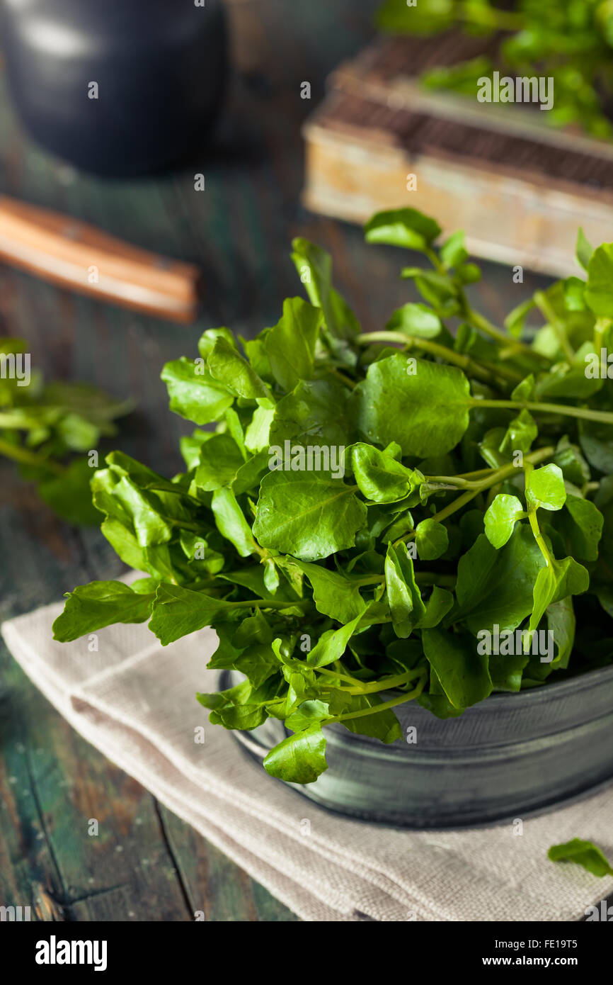 Raw Organic Green Watercress Ready to Use Stock Photo - Alamy