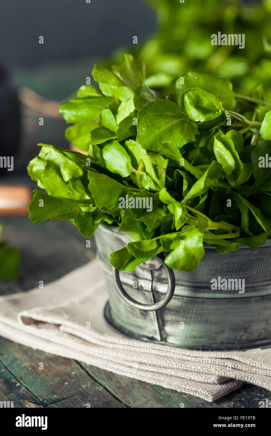 Raw Organic Green Watercress Ready to Use Stock Photo - Alamy