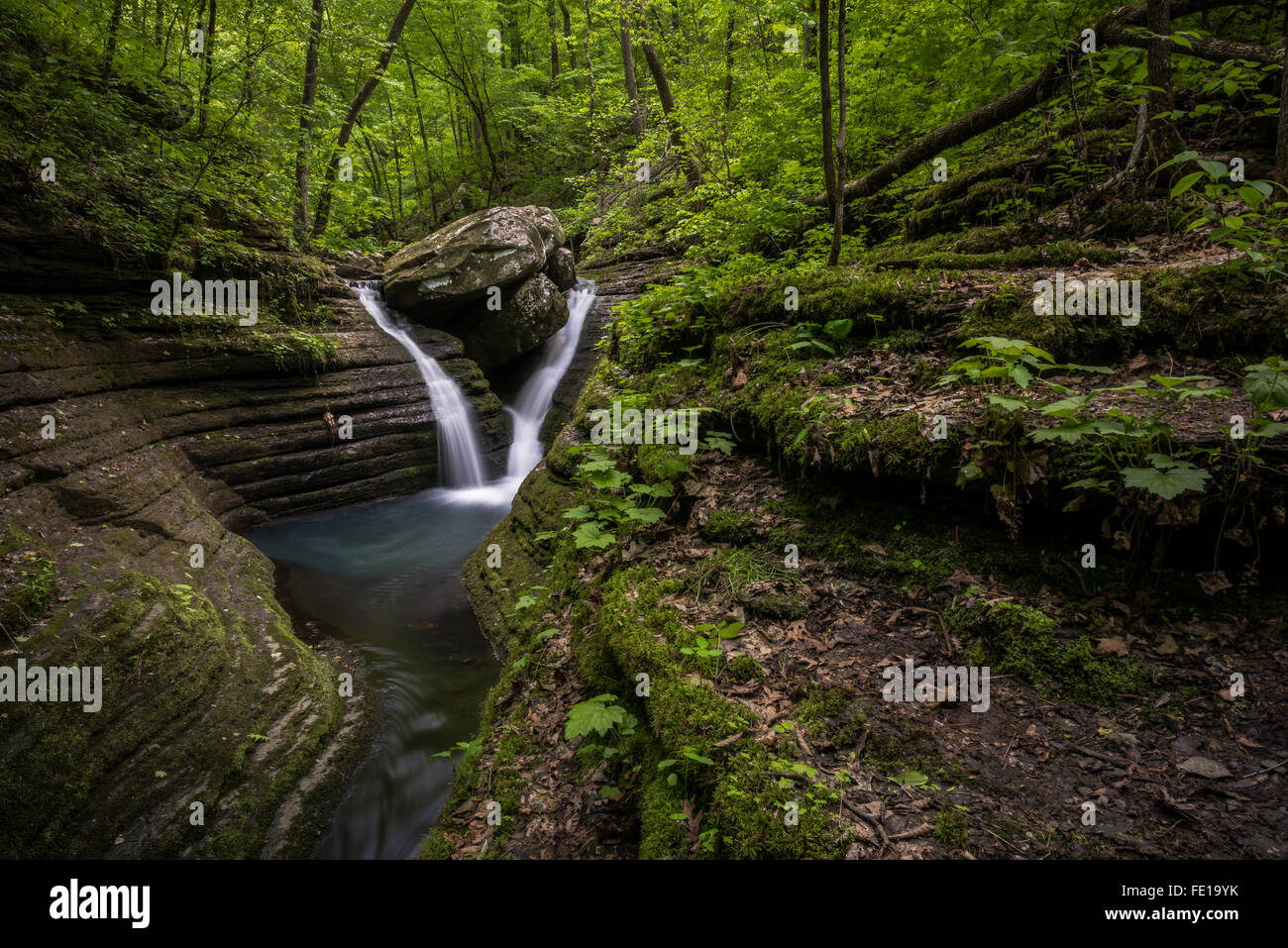 V shaped waterfall surrounded by lush green forest Stock Photo - Alamy