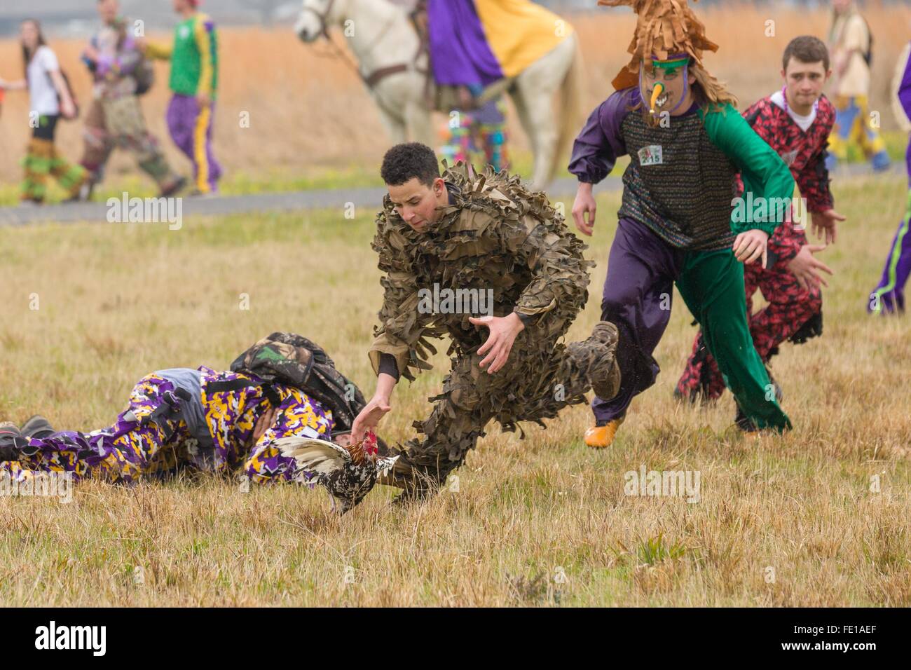 Revelers dive to capture a live chicken during the traditional Cajun ...