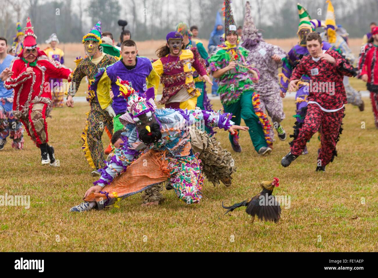 Revelers try to grab a live chicken during the traditional Cajun Courir ...