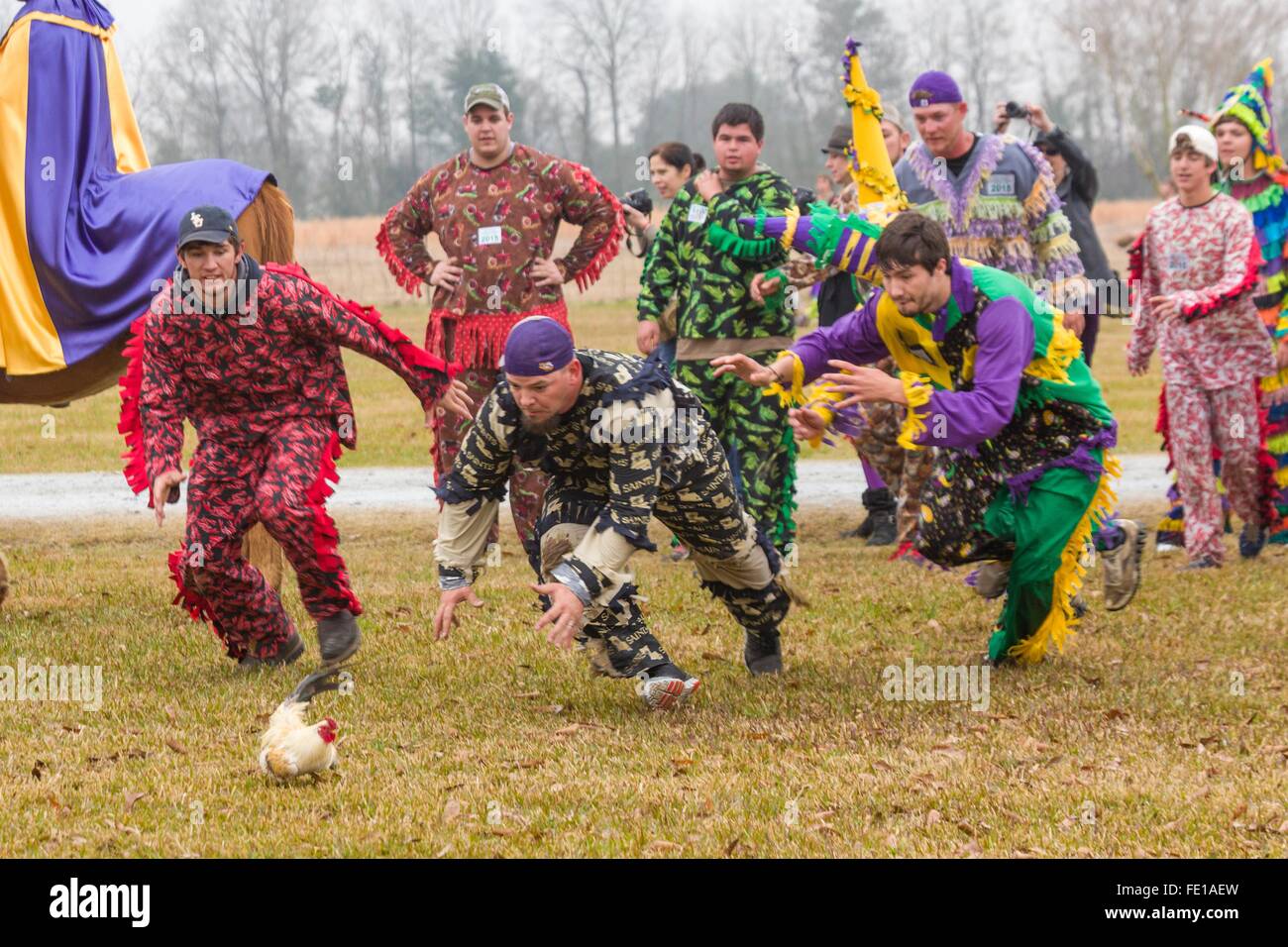 Revelers try to grab a live chicken during the traditional Cajun Courir ...