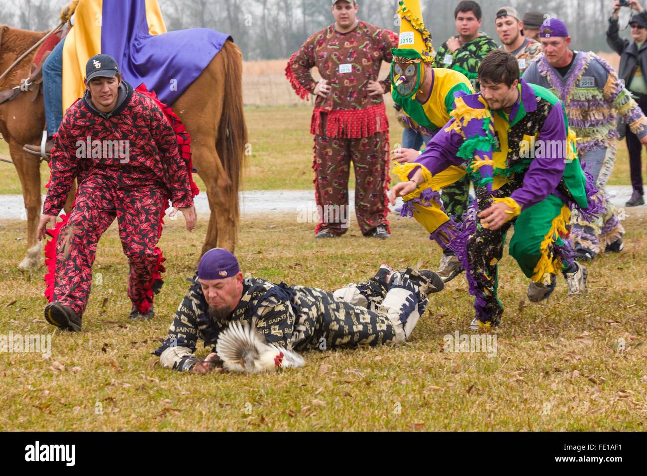 Revelers dive to capture a live chicken during the traditional Cajun ...